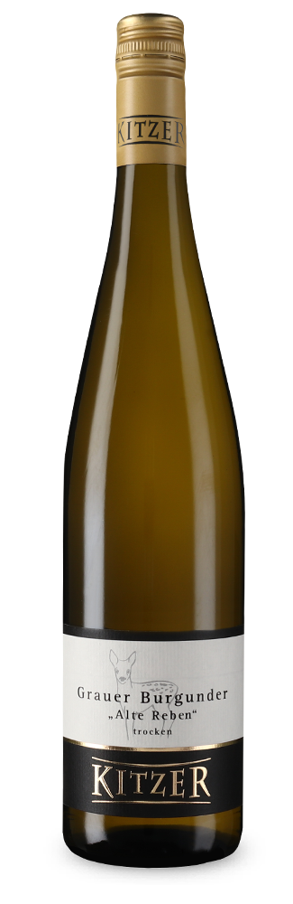 Kitzer Pinot gris Alte Reben sec 2022